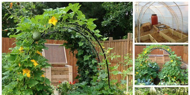 HOME - DIY Tutorials - Page 36