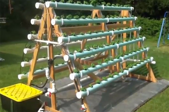Hydroponics Growing System Homemade Pvc For Beginners - Homemade Ftempo