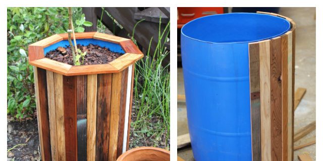 Recycled Steel Drum Planter Fresh Planters For YOU!!🎋, Check Out